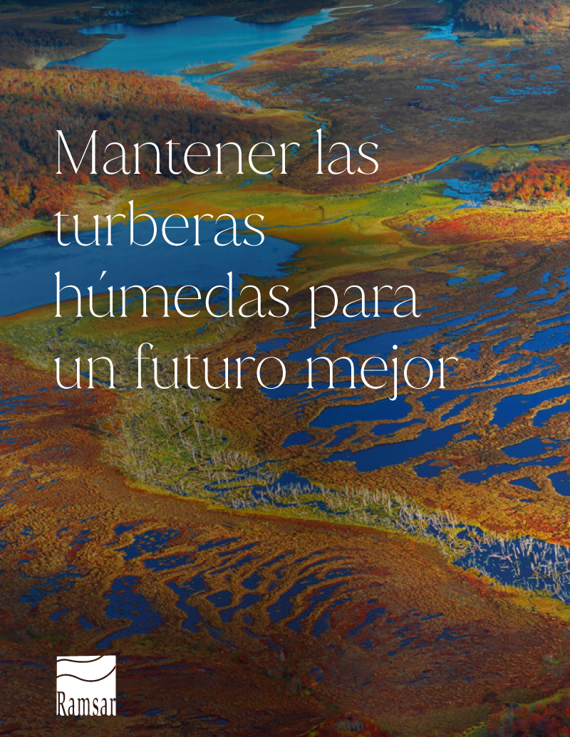 Mantener las turberas húmedas para un futuro mejor - Fundacion Cosmos